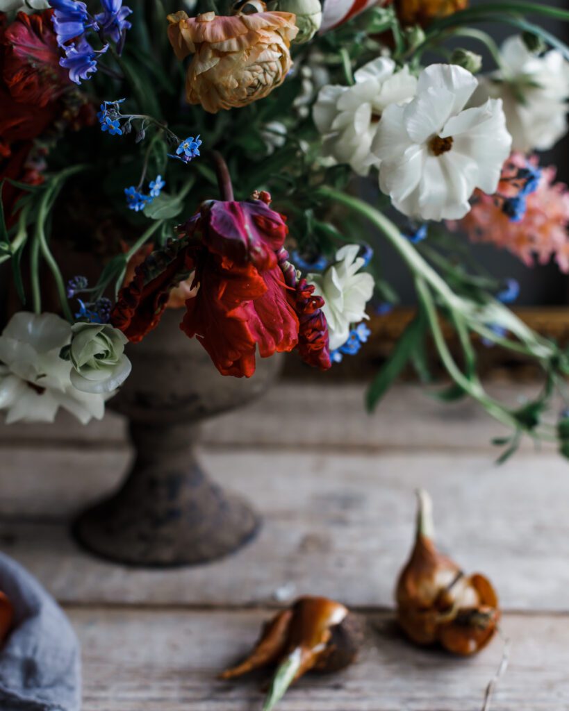 A Floral Portrait, Flower photography workshop - janneford.com